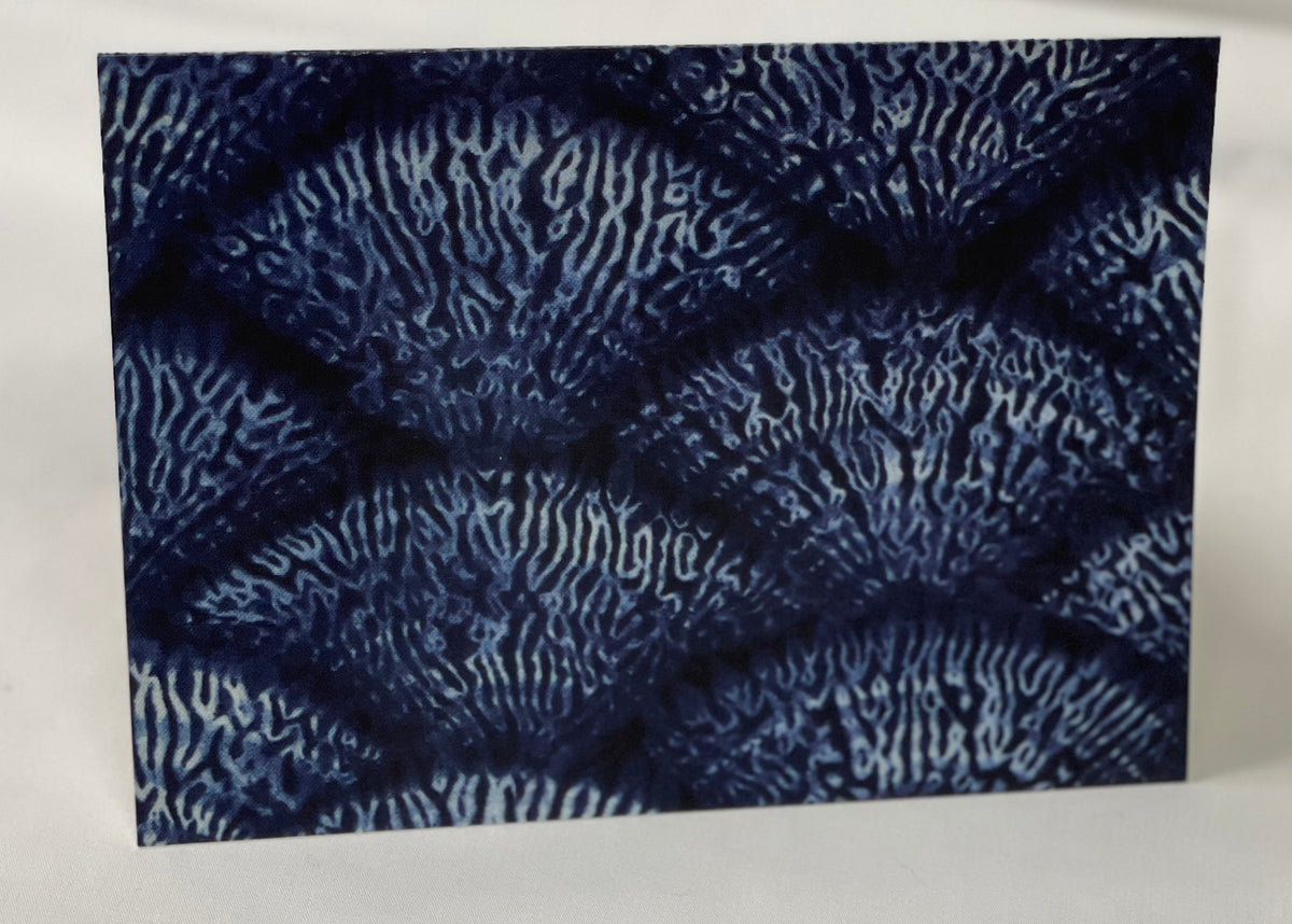 Shibori Shell Greeting Card Single – Debbie Maddy